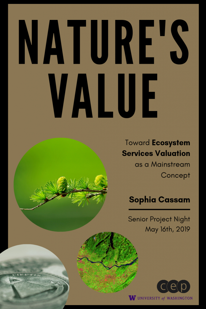 Nature's Value - Community, Environment, & Planning